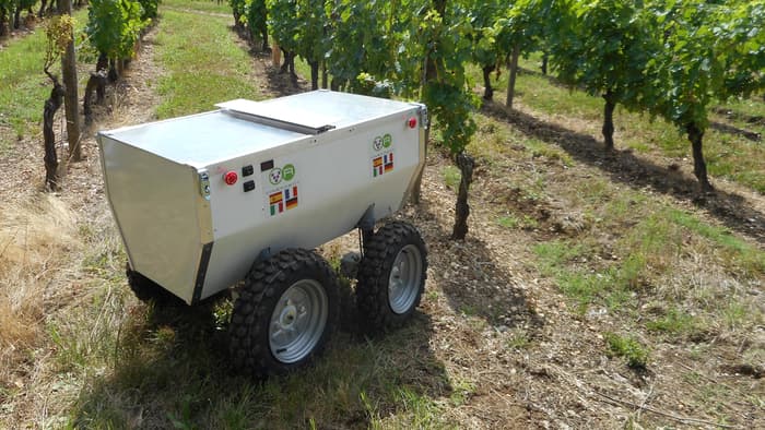 VineRobot - Robot theo dõi tình trạng cây vườn | Nomudas's Treasure